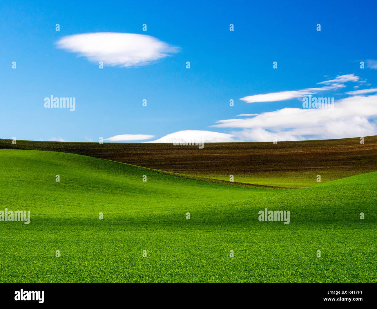 USA, Washington State, Palouse, Spring Wheat Field and Clouds Stock ...