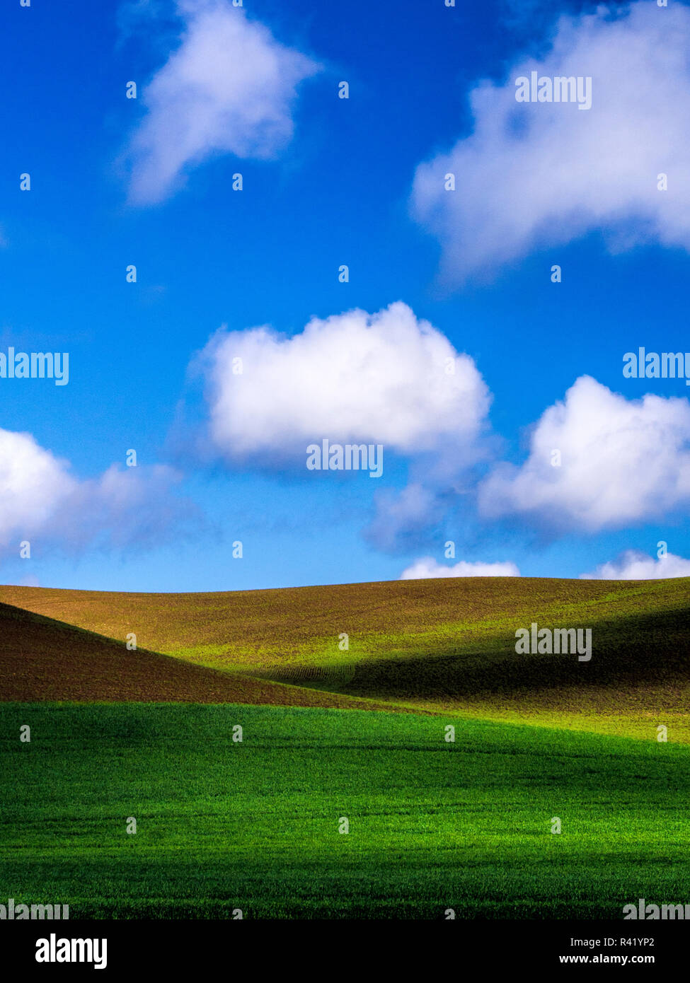 Wheat field usa hi-res stock photography and images - Alamy