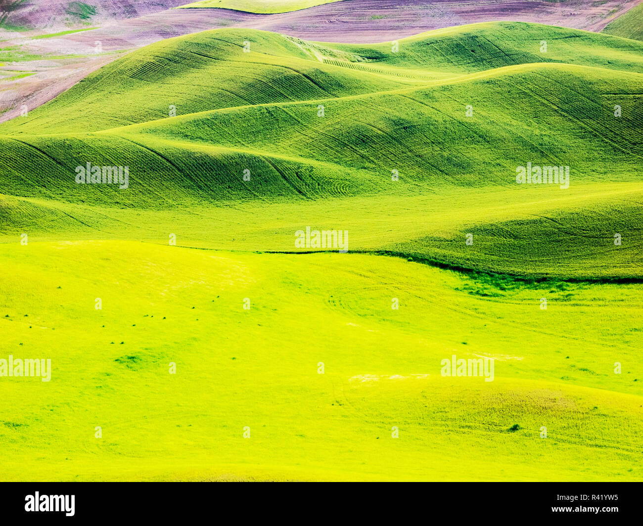Aerial view of Palouse Region Stock Photo - Alamy