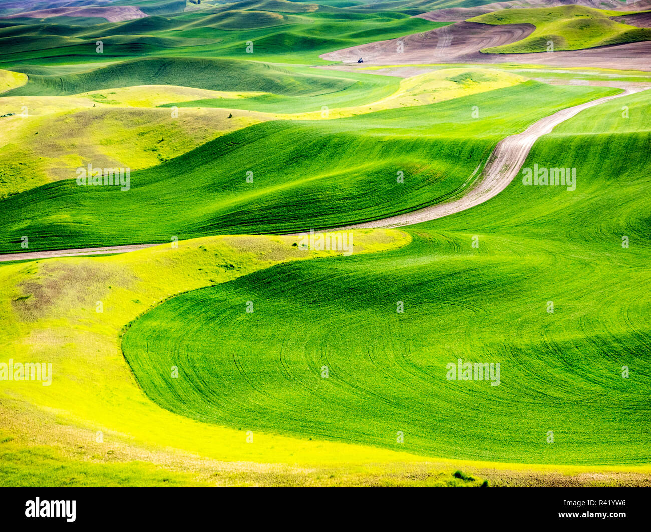 Aerial view of Palouse Region Stock Photo - Alamy