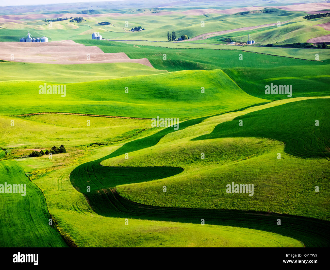 Aerial view of Palouse Region Stock Photo - Alamy