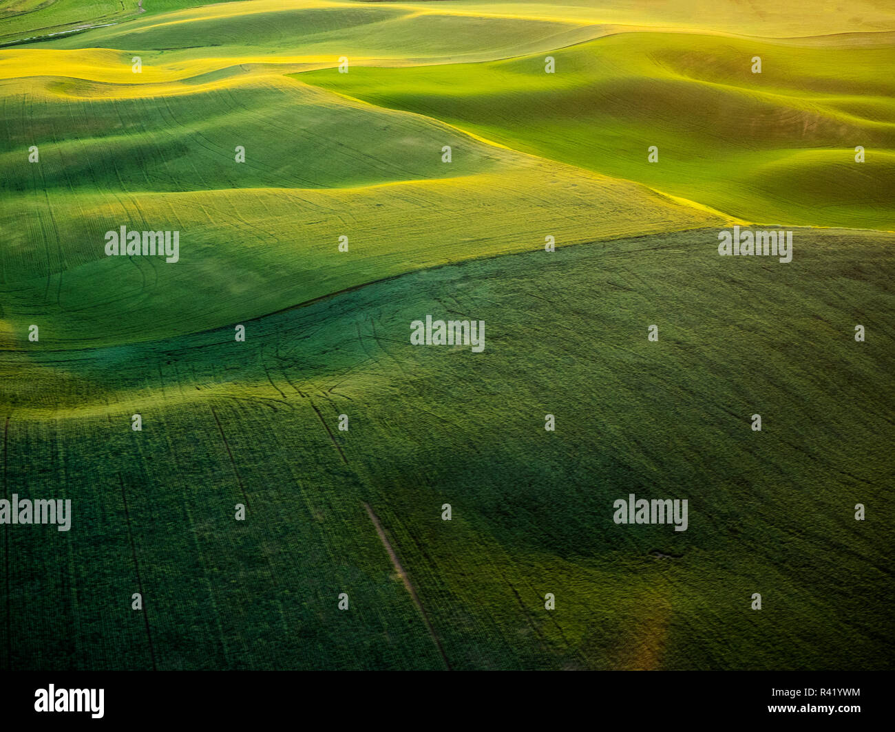 Aerial view of Palouse Region Stock Photo - Alamy