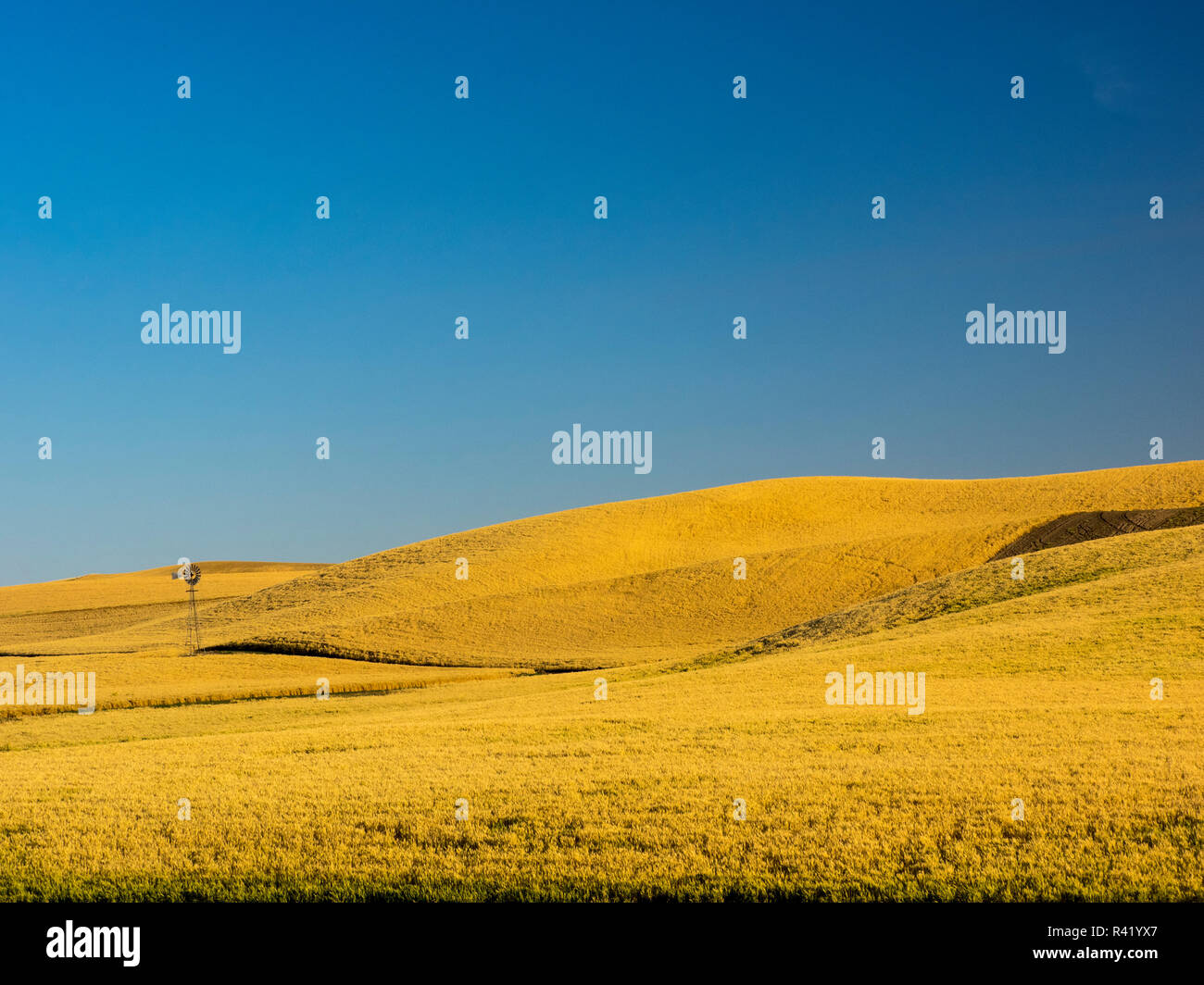 Windmill in fields during harvest Stock Photo - Alamy