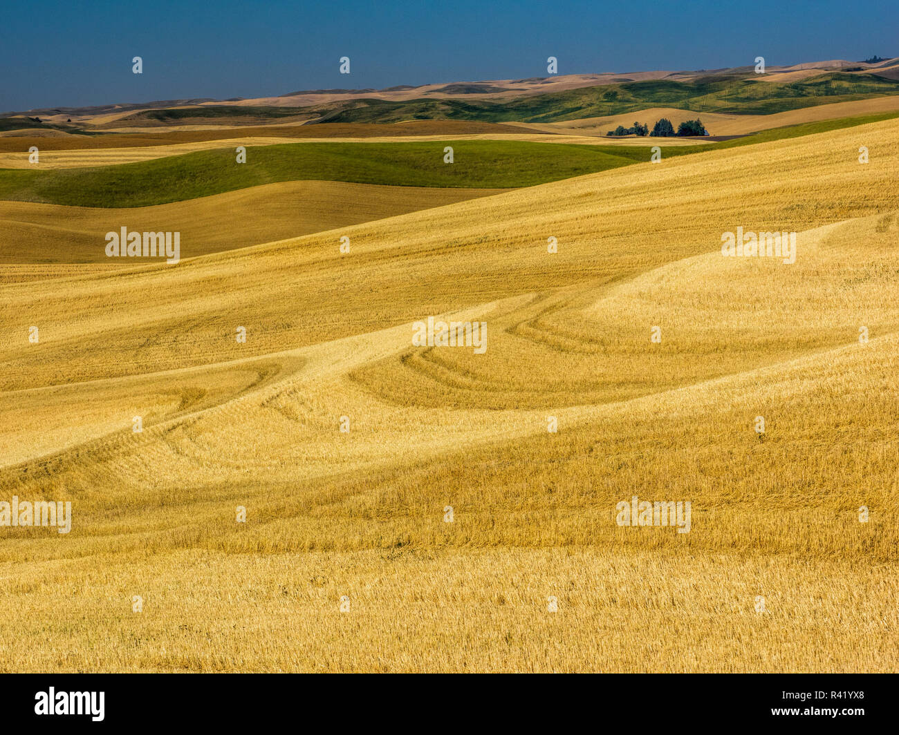 Fields during harvest Stock Photo - Alamy