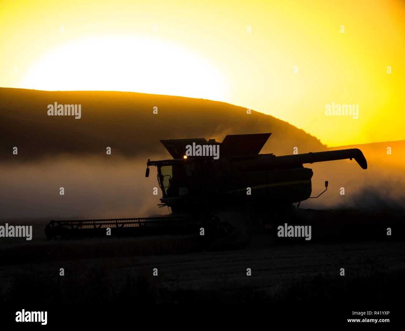 Combine harvesting at sunset Stock Photo - Alamy
