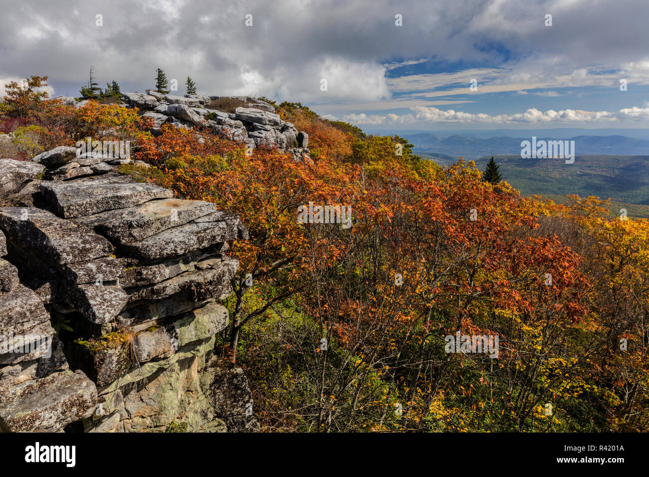 Dolly sods national wilderness hi-res stock photography and images - Alamy