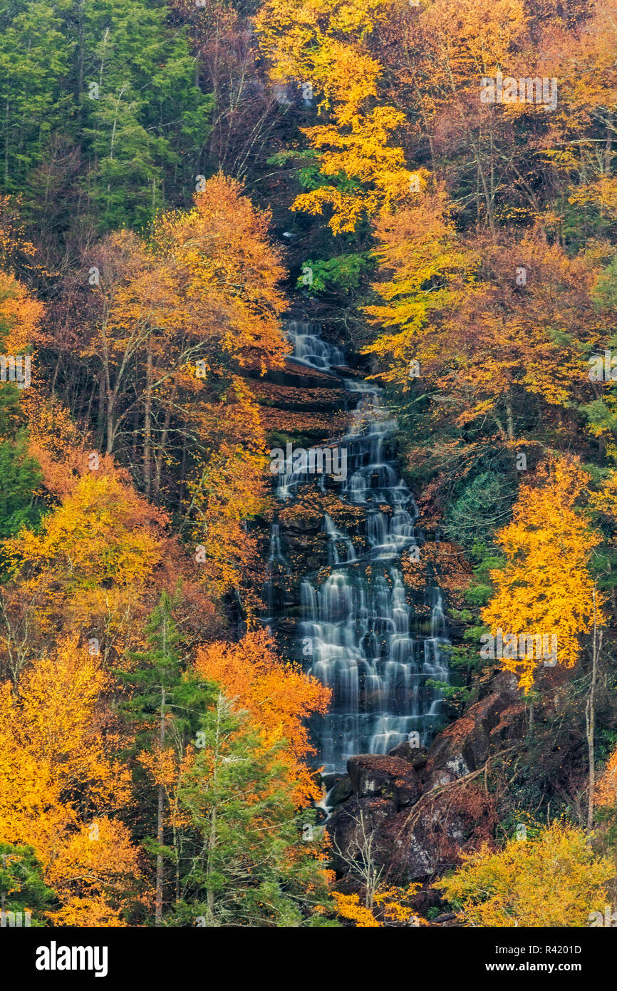 Blackwater falls state park elakala hi-res stock photography and images ...
