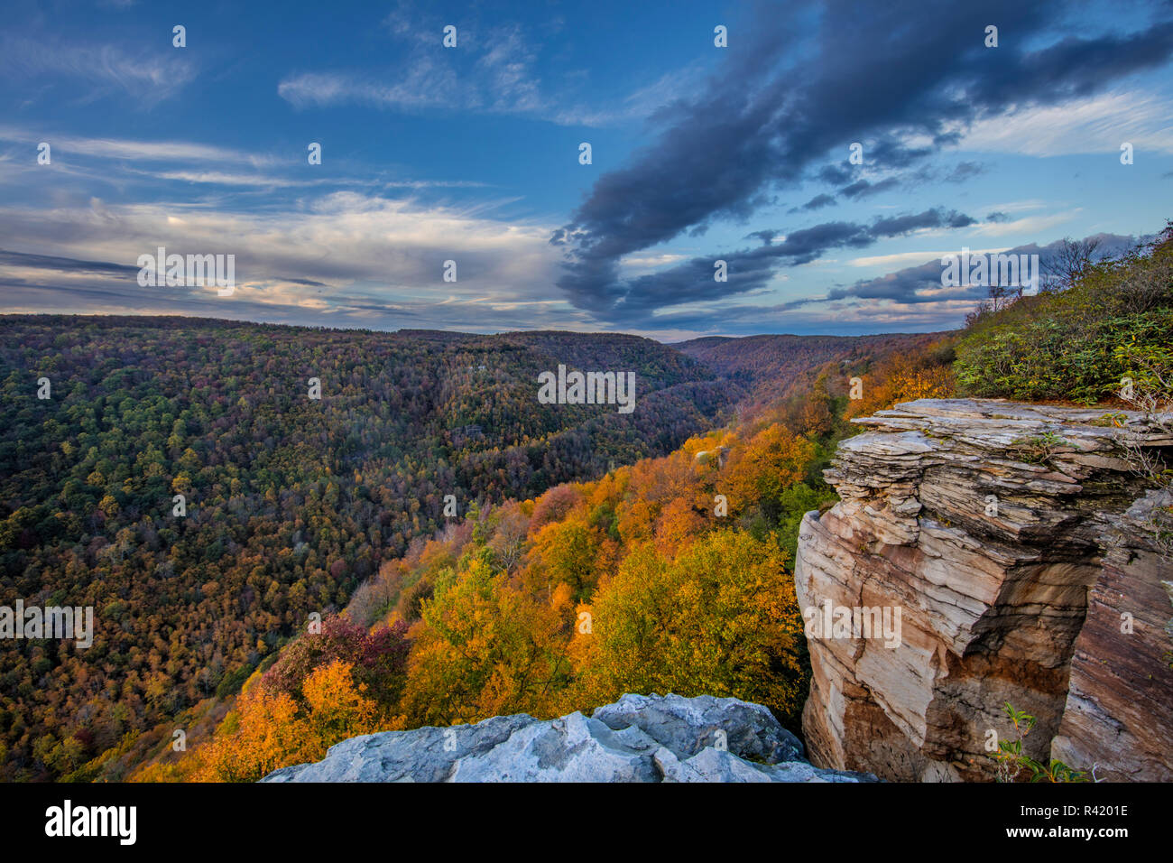 Lindy Point Overlook in Blackwater Falls State Park in Davis, West ...