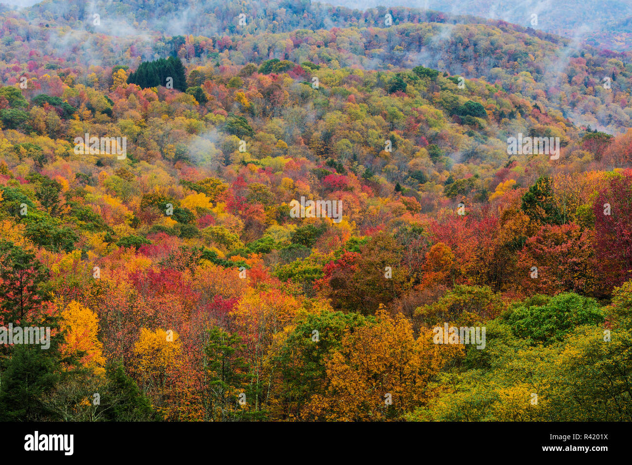 Randolph county west virginia hi-res stock photography and images - Alamy