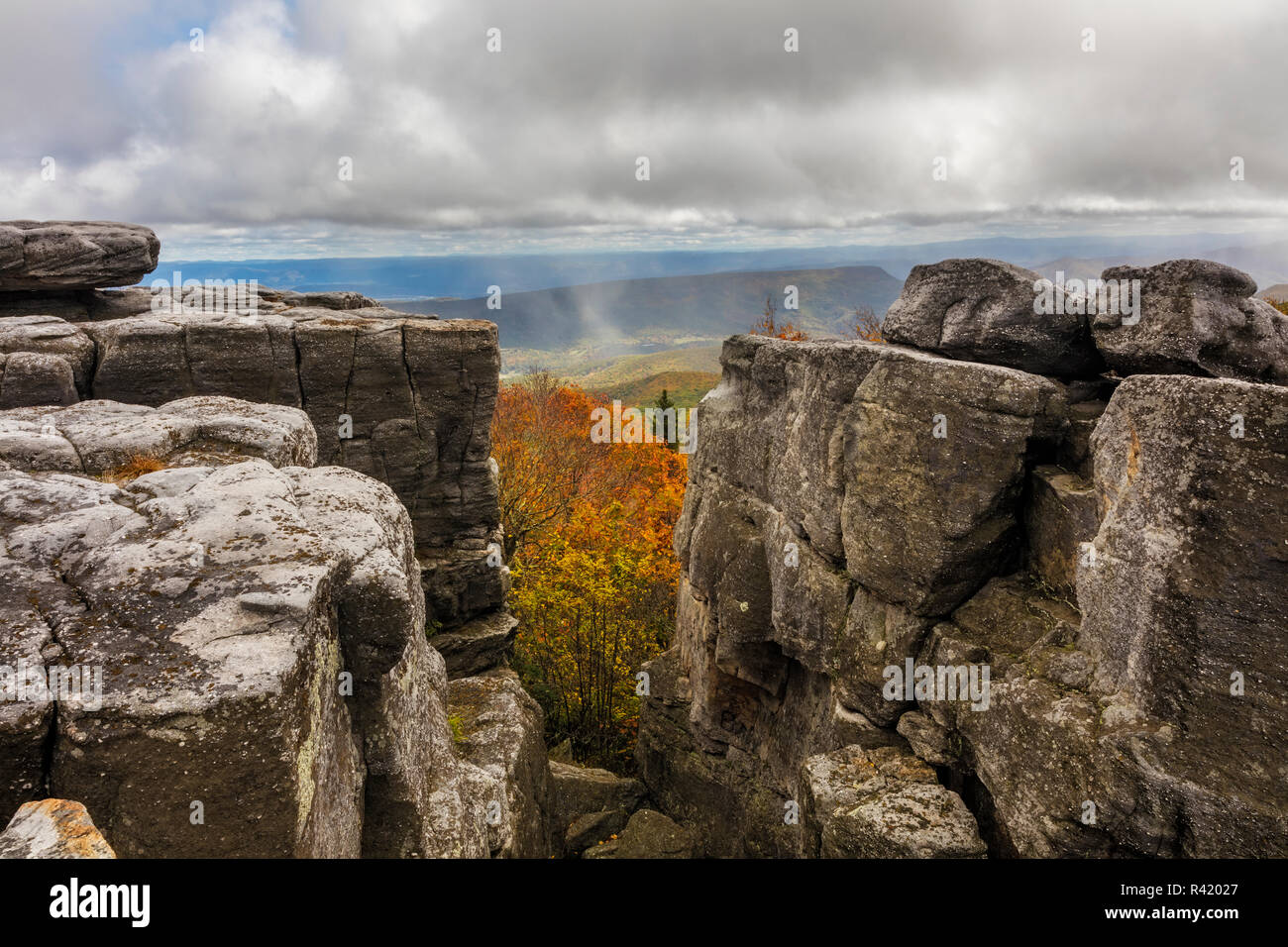 Bear Rocks in autumn in the Dolly Sods Wilderness, West Virginia, USA ...