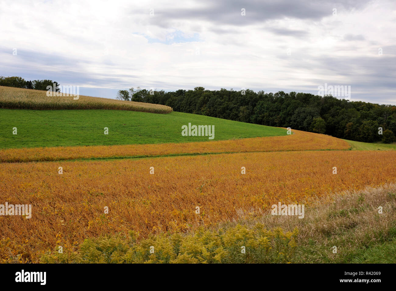 North wisconsin farm hi-res stock photography and images - Alamy