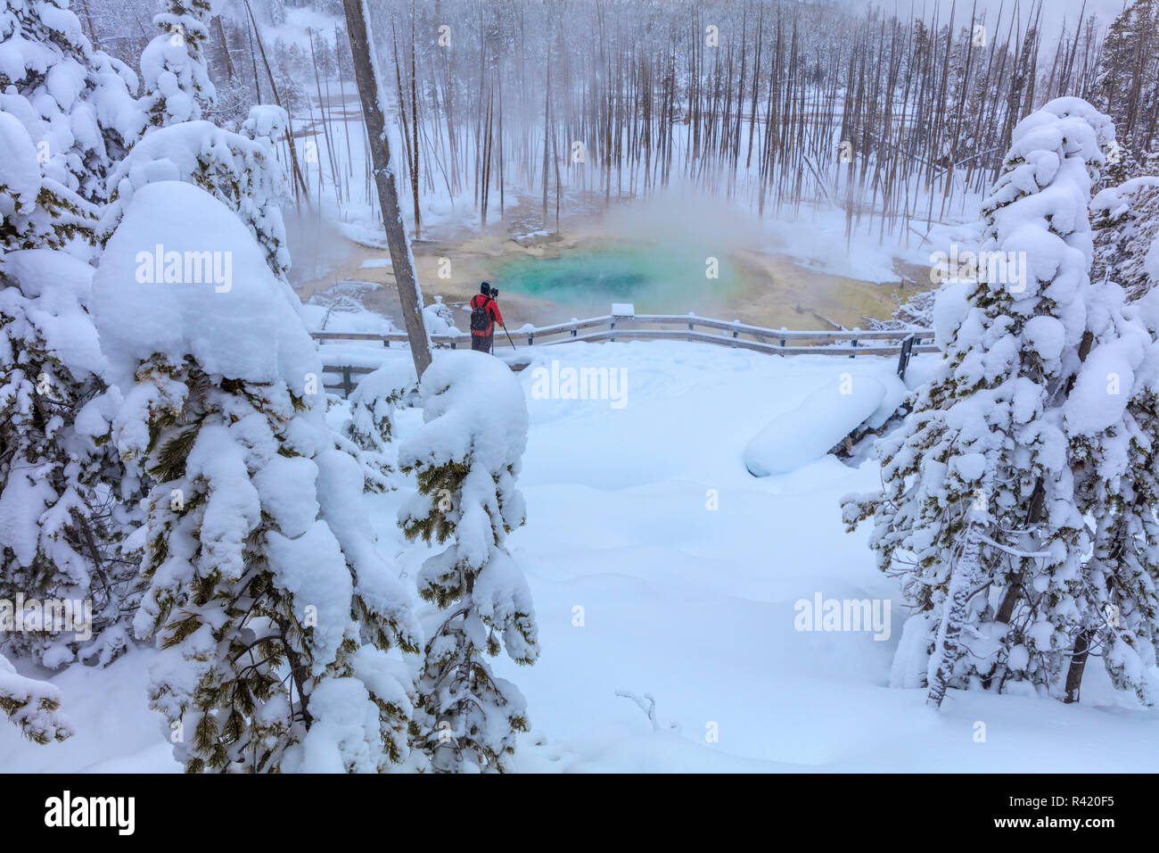 Photographer at Cistern Spring in the Norris Geyser Basin in ...