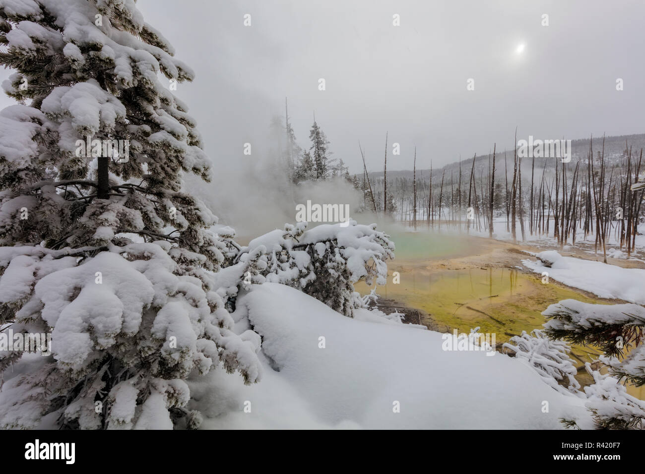 Cistern spring yellowstone hi-res stock photography and images - Alamy