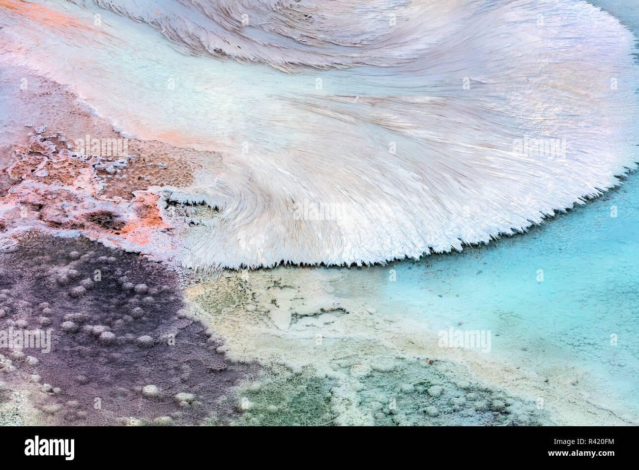 New blue spring hi-res stock photography and images - Alamy