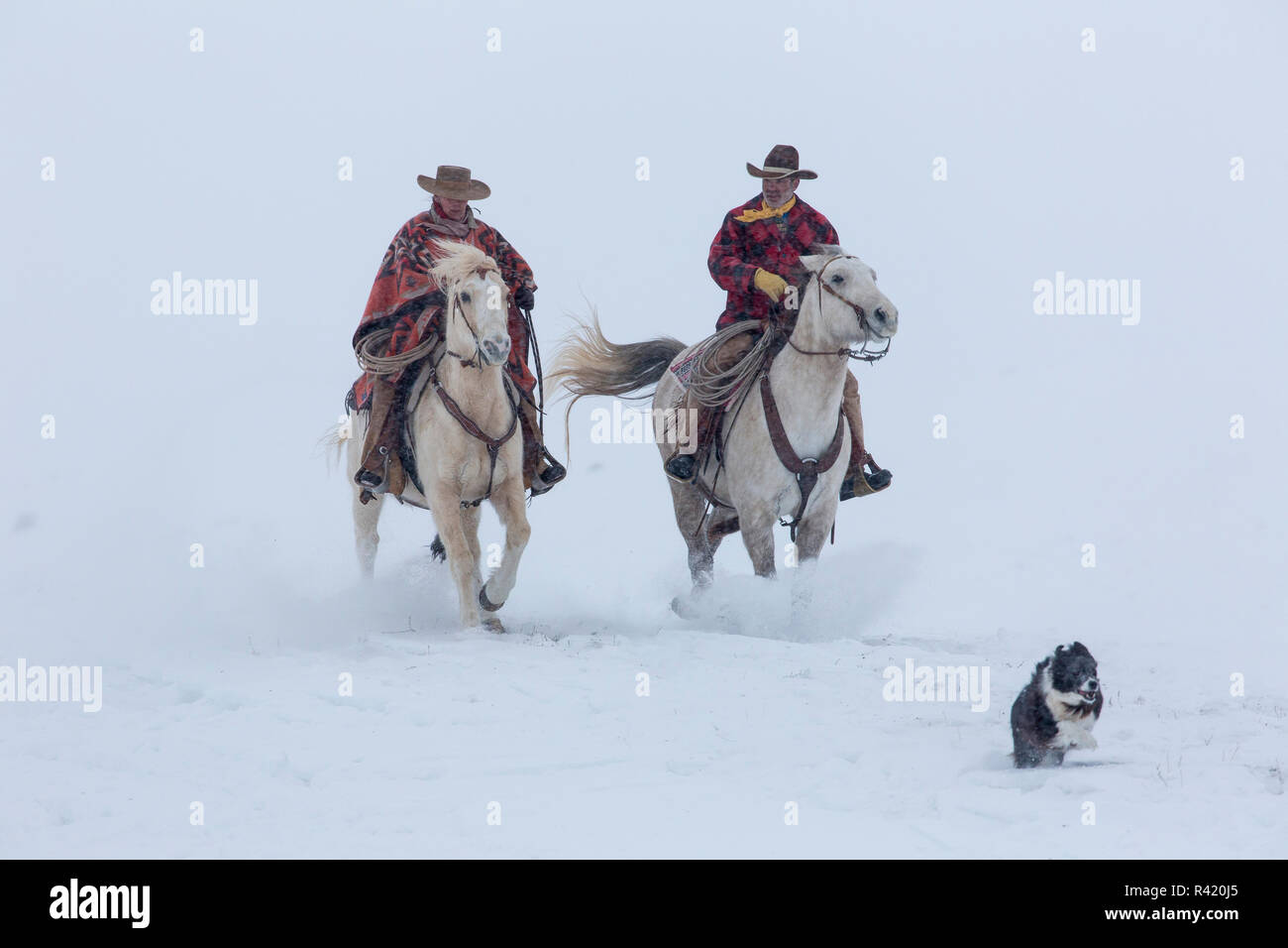 Cowboy couple horseback hi-res stock photography and images - Alamy