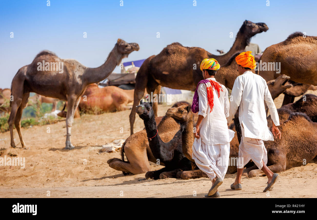 Men in ethnic attire attends the Pushkar fair in Rajasthan, India Stock ...