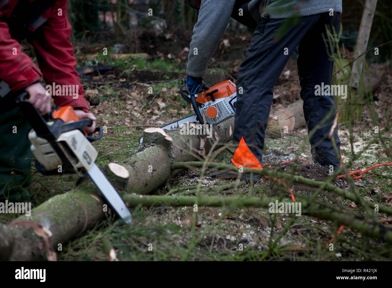 work with chainsaw Stock Photo - Alamy