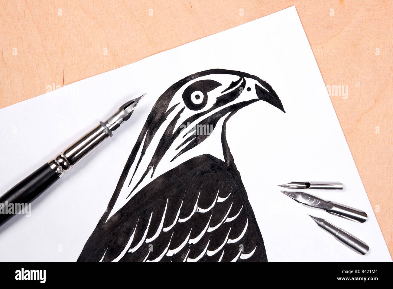Cool Hawk Drawings