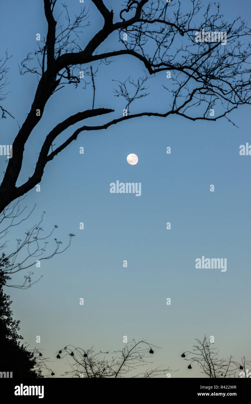 Moon earth tides hi-res stock photography and images - Alamy