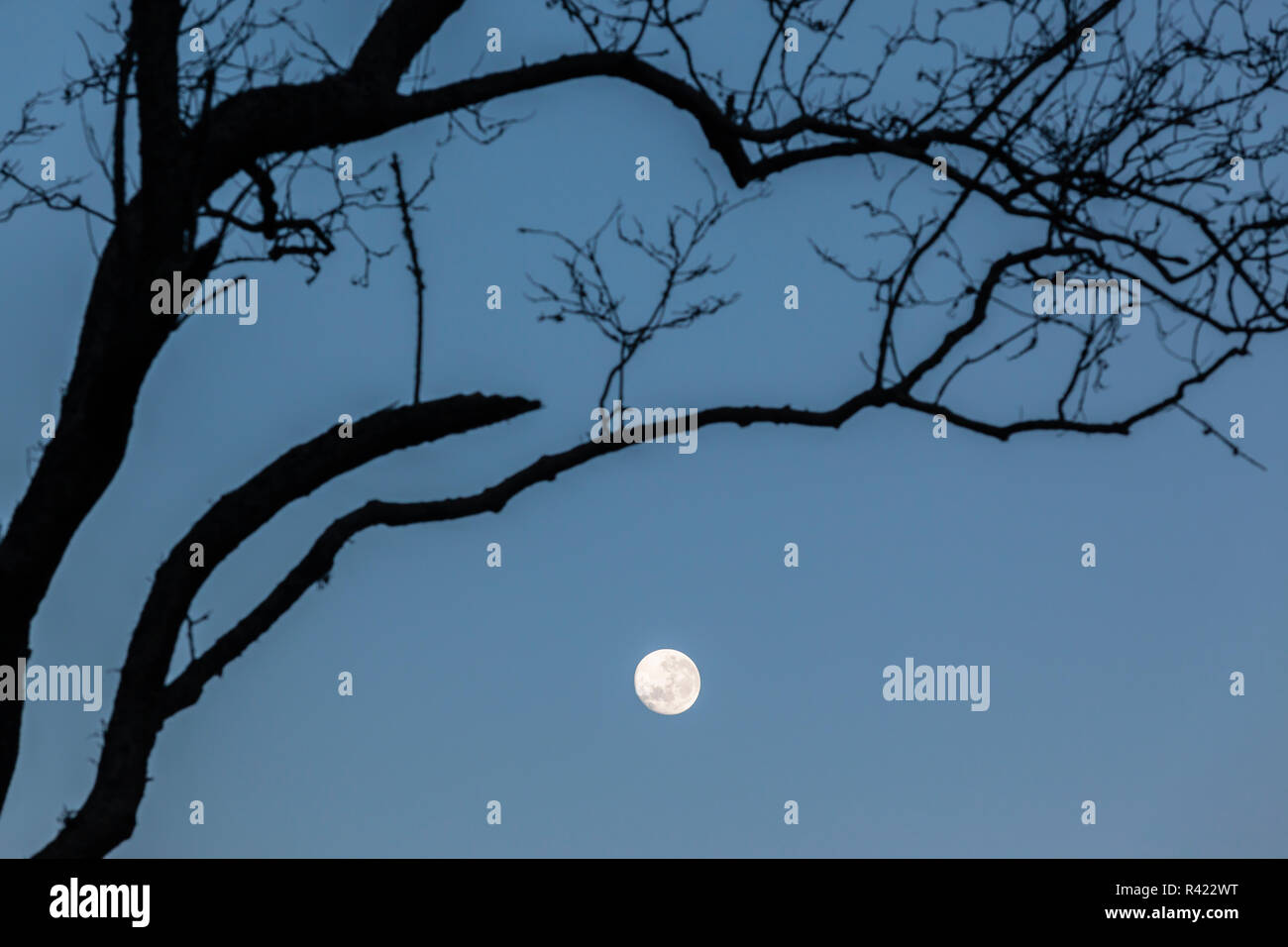 Moon earth tides hi-res stock photography and images - Alamy