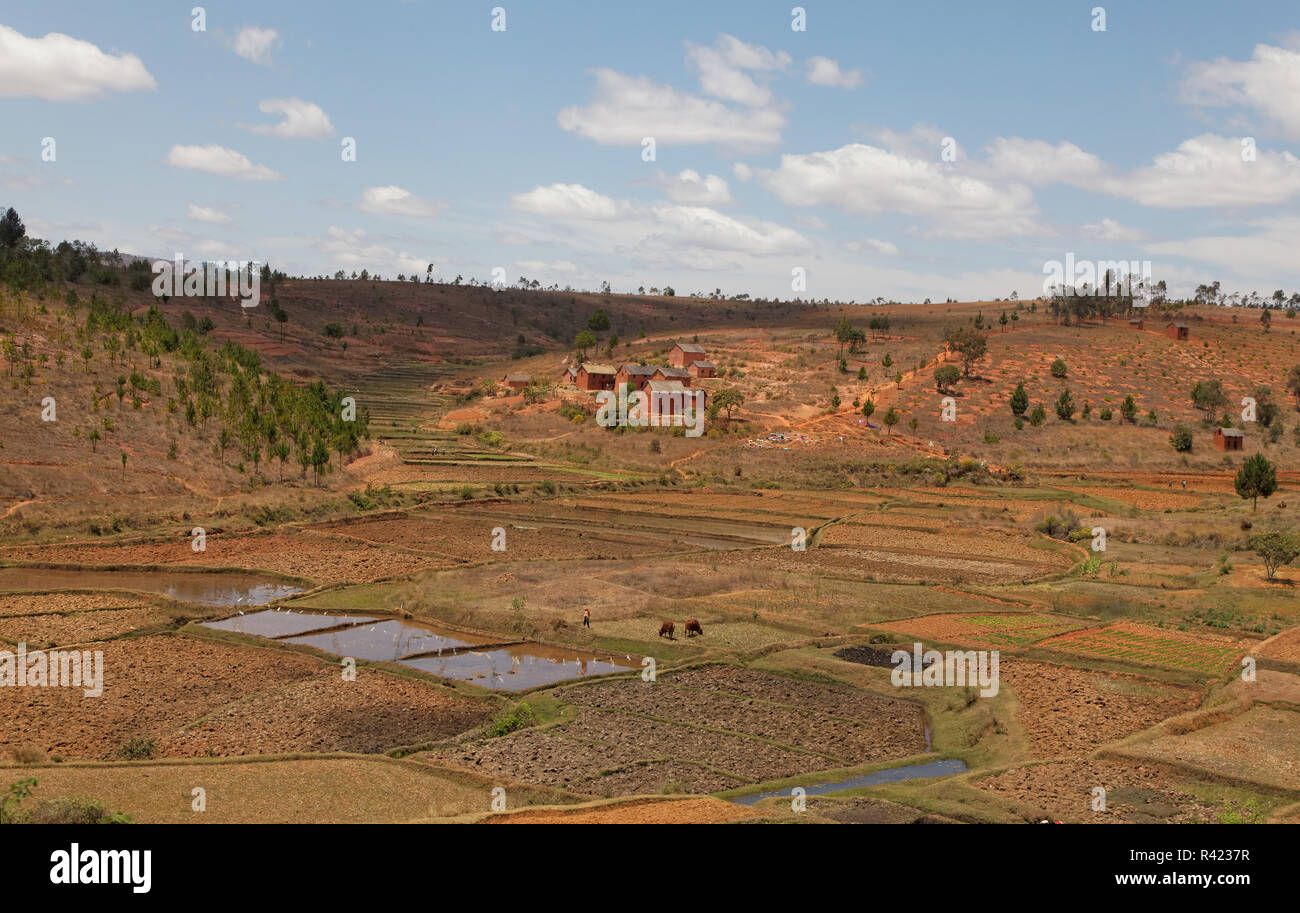 landscape in madagascar Stock Photo - Alamy