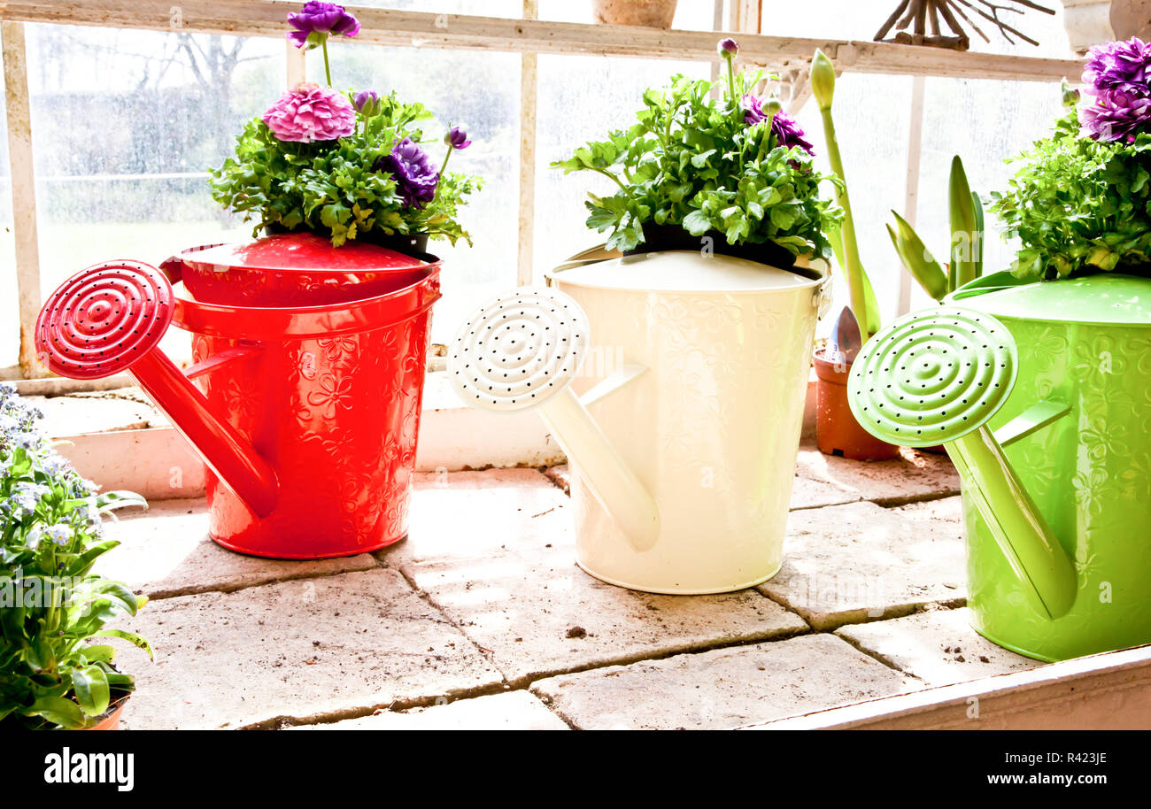 Garden - Watering can Stock Photo - Alamy
