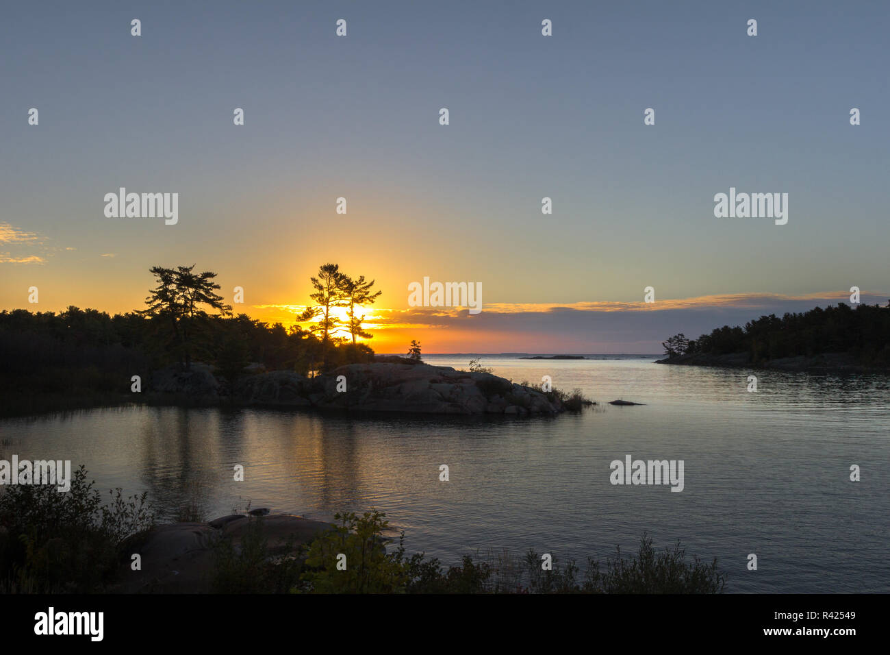 Sun Rising Over Pine Tree Stock Photo - Alamy