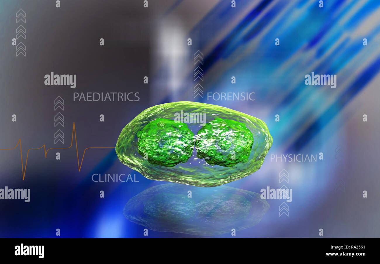 Chicken pox virus hi-res stock photography and images - Alamy