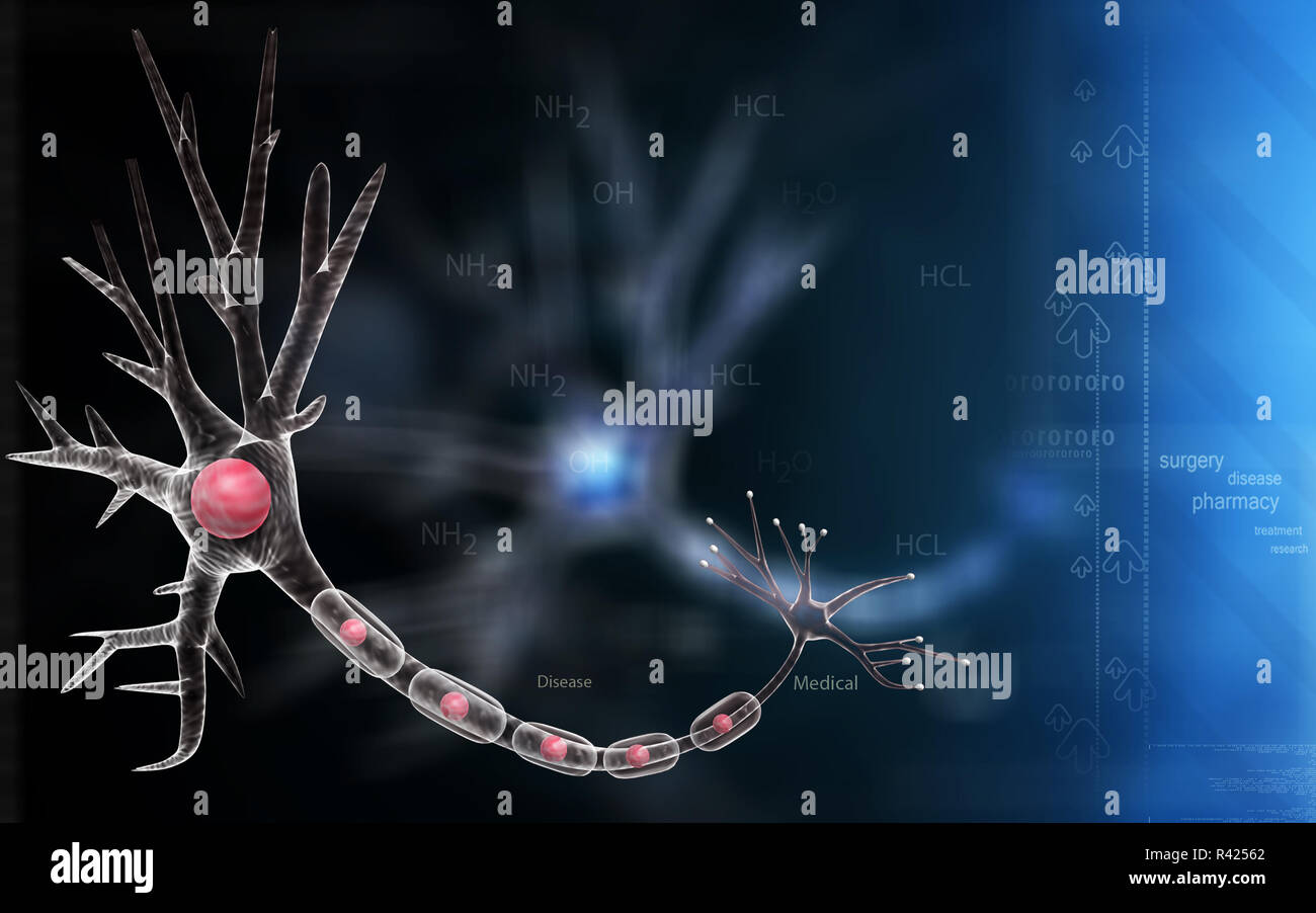 Bipolar neuron hi-res stock photography and images - Alamy