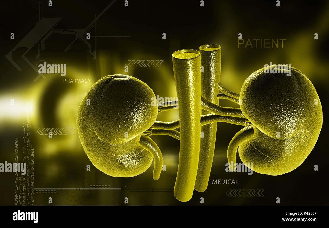 Kidney basin hi-res stock photography and images - Alamy