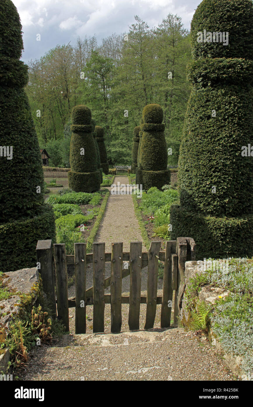 garden with boxwood columns Stock Photo - Alamy