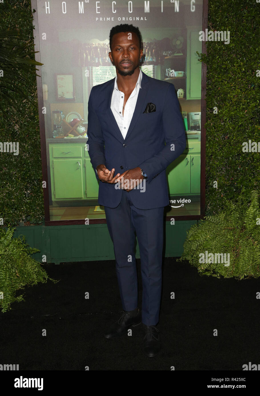 Celebrities attend Los Angeles Premiere of Amazon’s HOMECOMING at ...