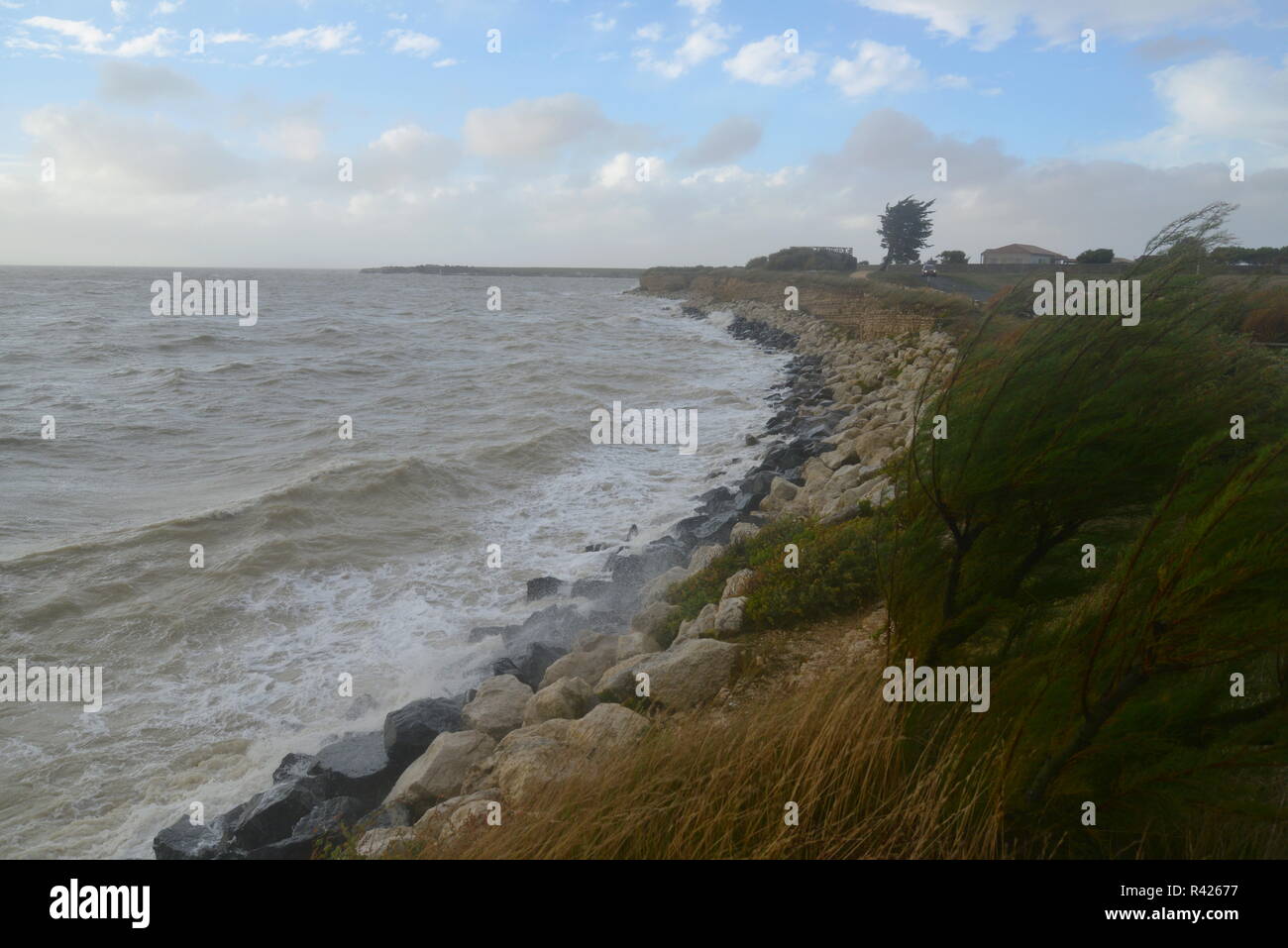 Houmeau hi-res stock photography and images - Alamy