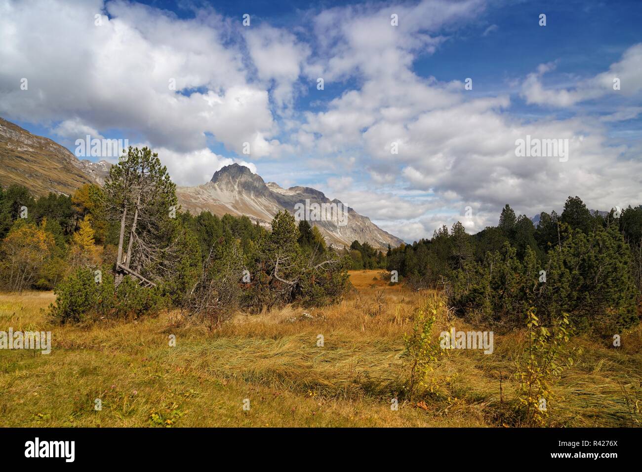 Wanden hi-res stock photography and images - Alamy