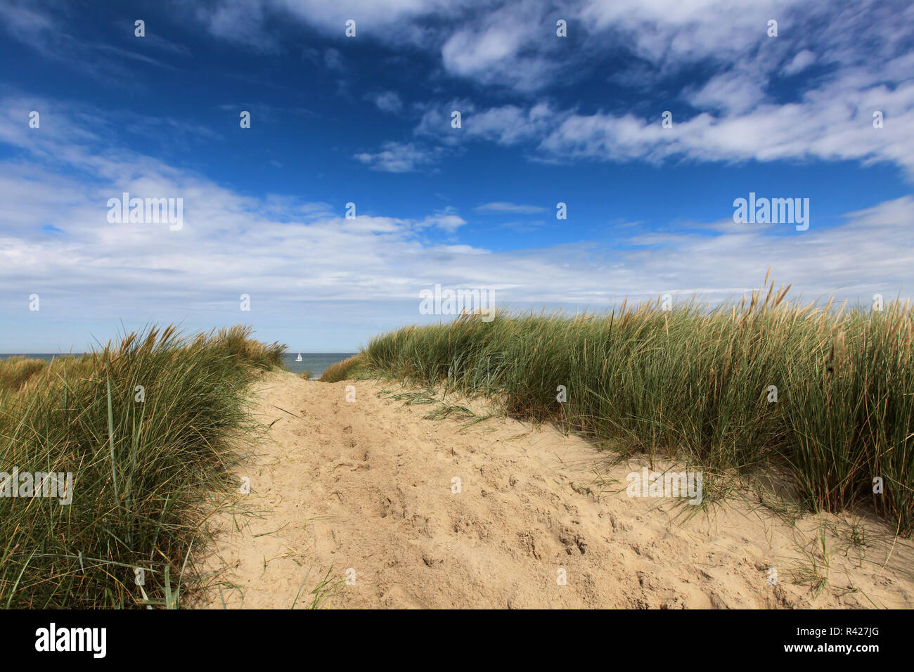 way to the beach Stock Photo - Alamy