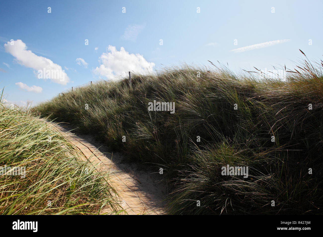 path to the sea Stock Photo - Alamy