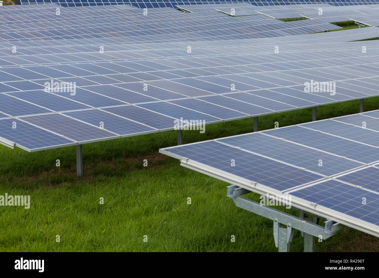 meadow solar cells in a solar farm on green Stock Photo - Alamy