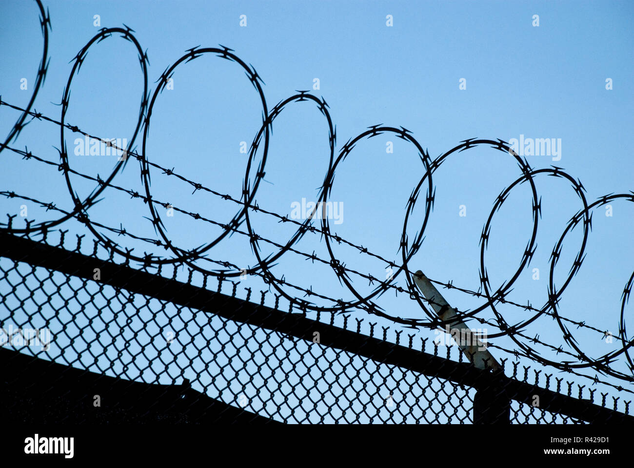 barbed wire - danger - prison Stock Photo - Alamy