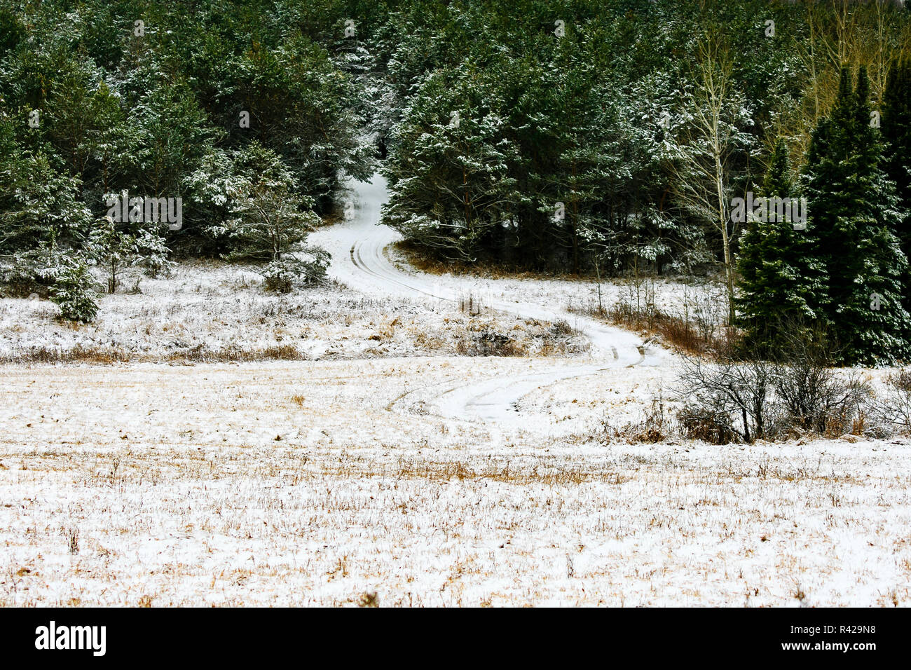 Wisconsin logging hi-res stock photography and images - Alamy
