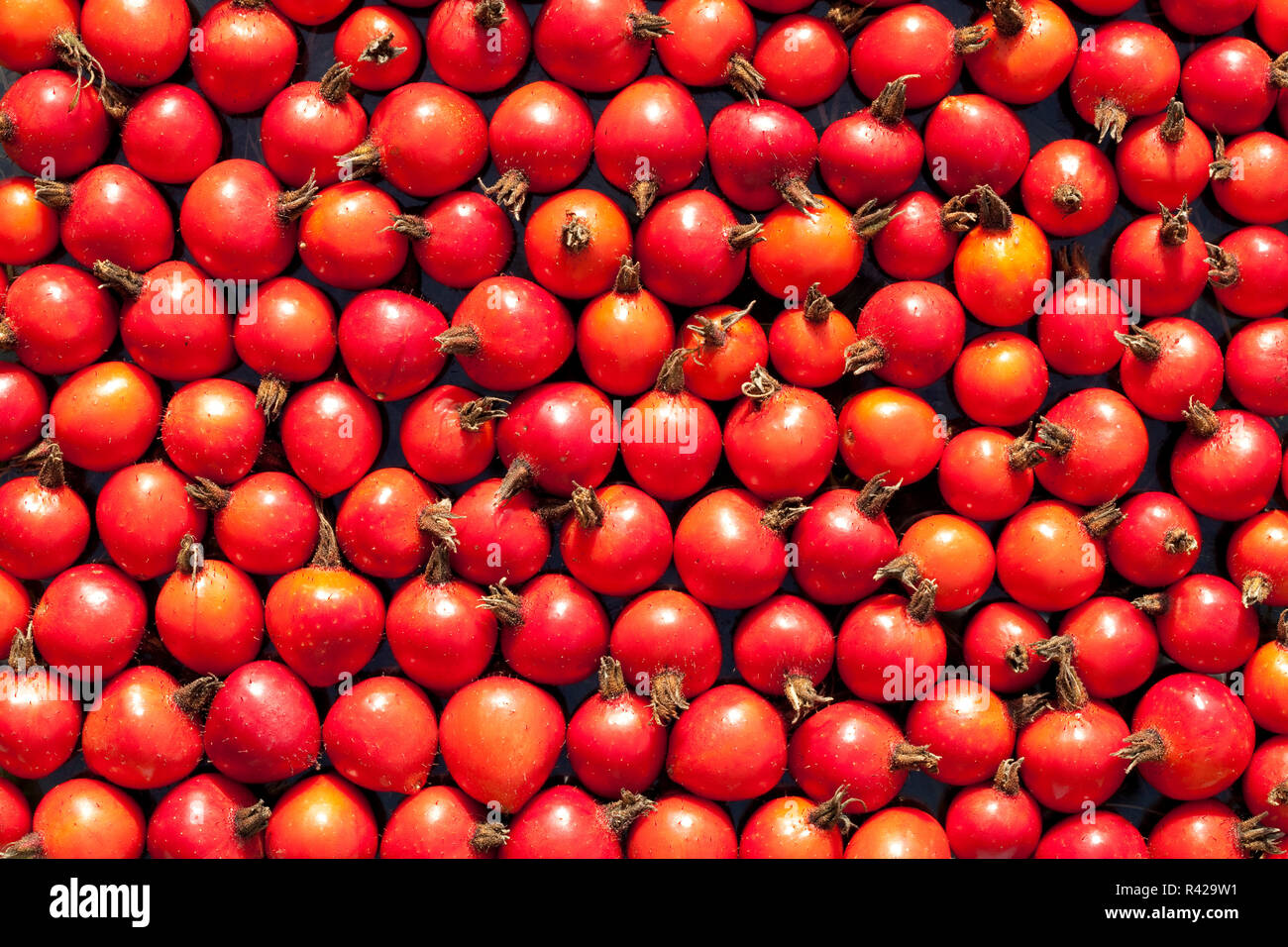 Red globule hi-res stock photography and images - Alamy