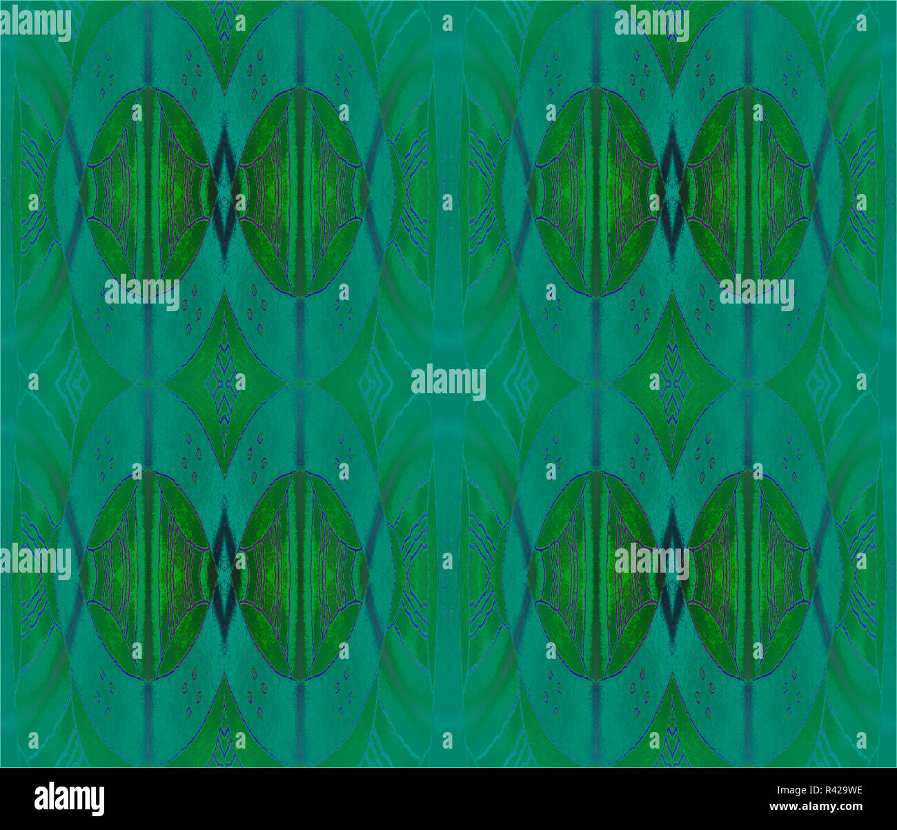 Plant ellipses hi-res stock photography and images - Alamy