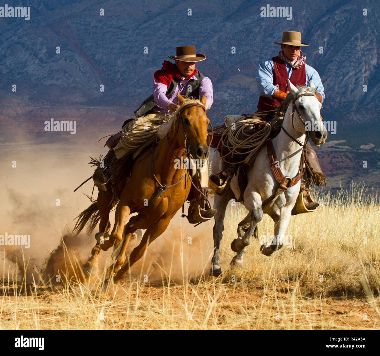 USA, Wyoming, Shell, Cowboys Riding (MR,PR Stock Photo - Alamy