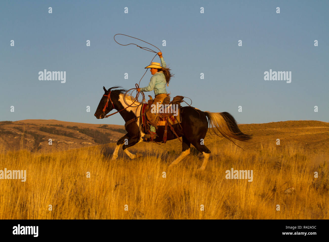 Cowgirl roping hi-res stock photography and images - Alamy
