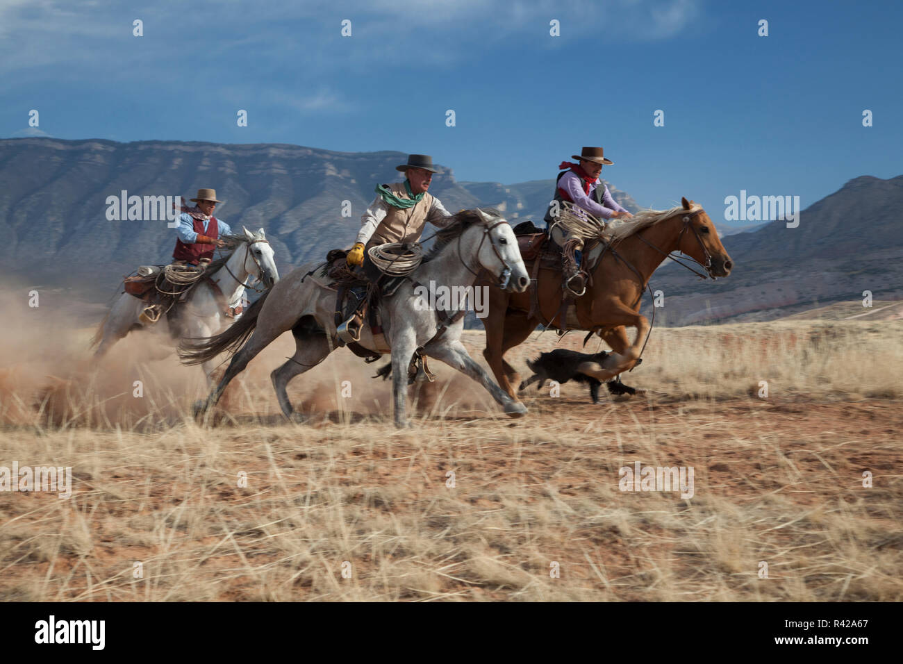 Three cowboys on horseback hi-res stock photography and images - Alamy