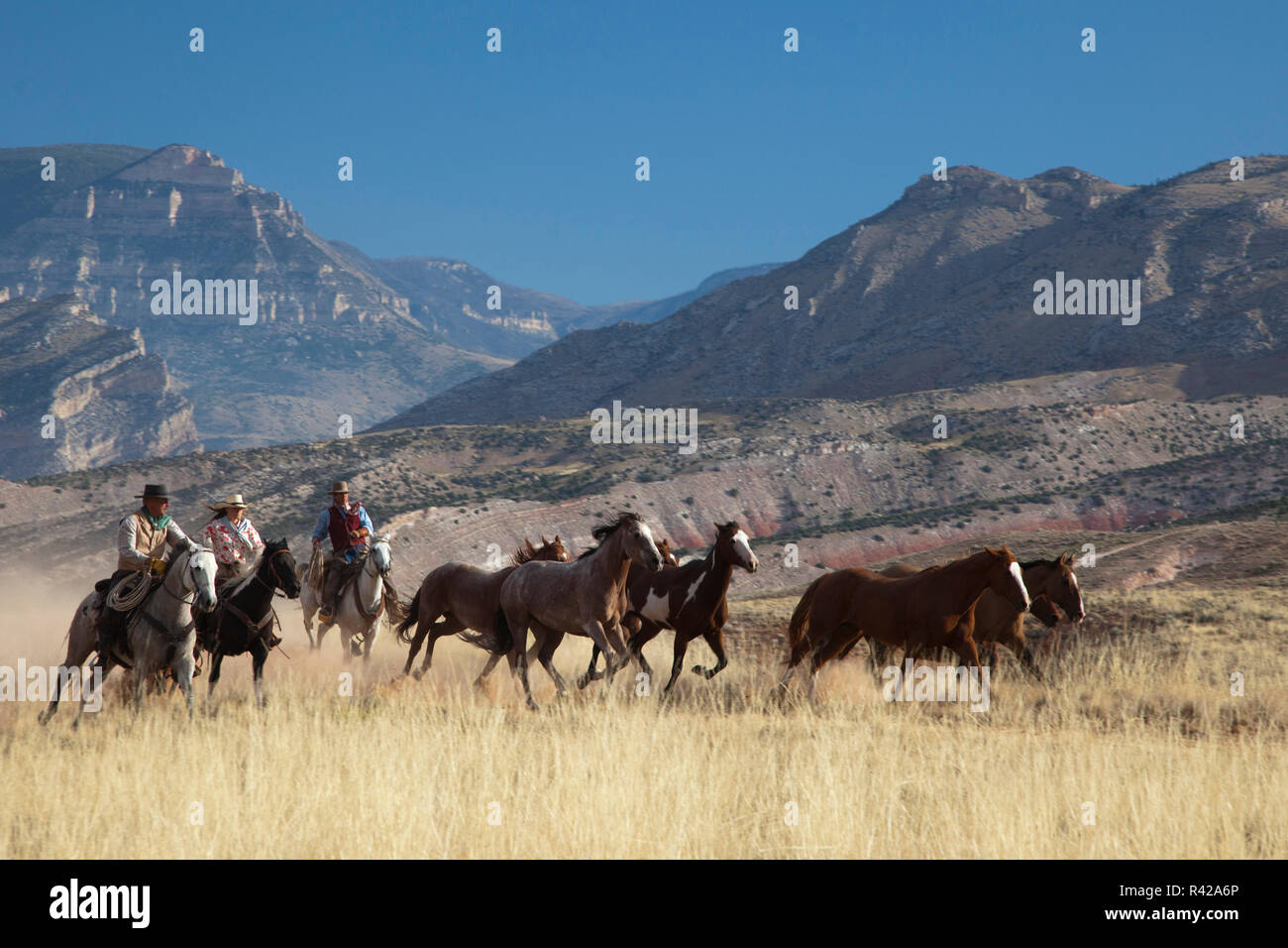 Ranch cowboys hi-res stock photography and images - Alamy