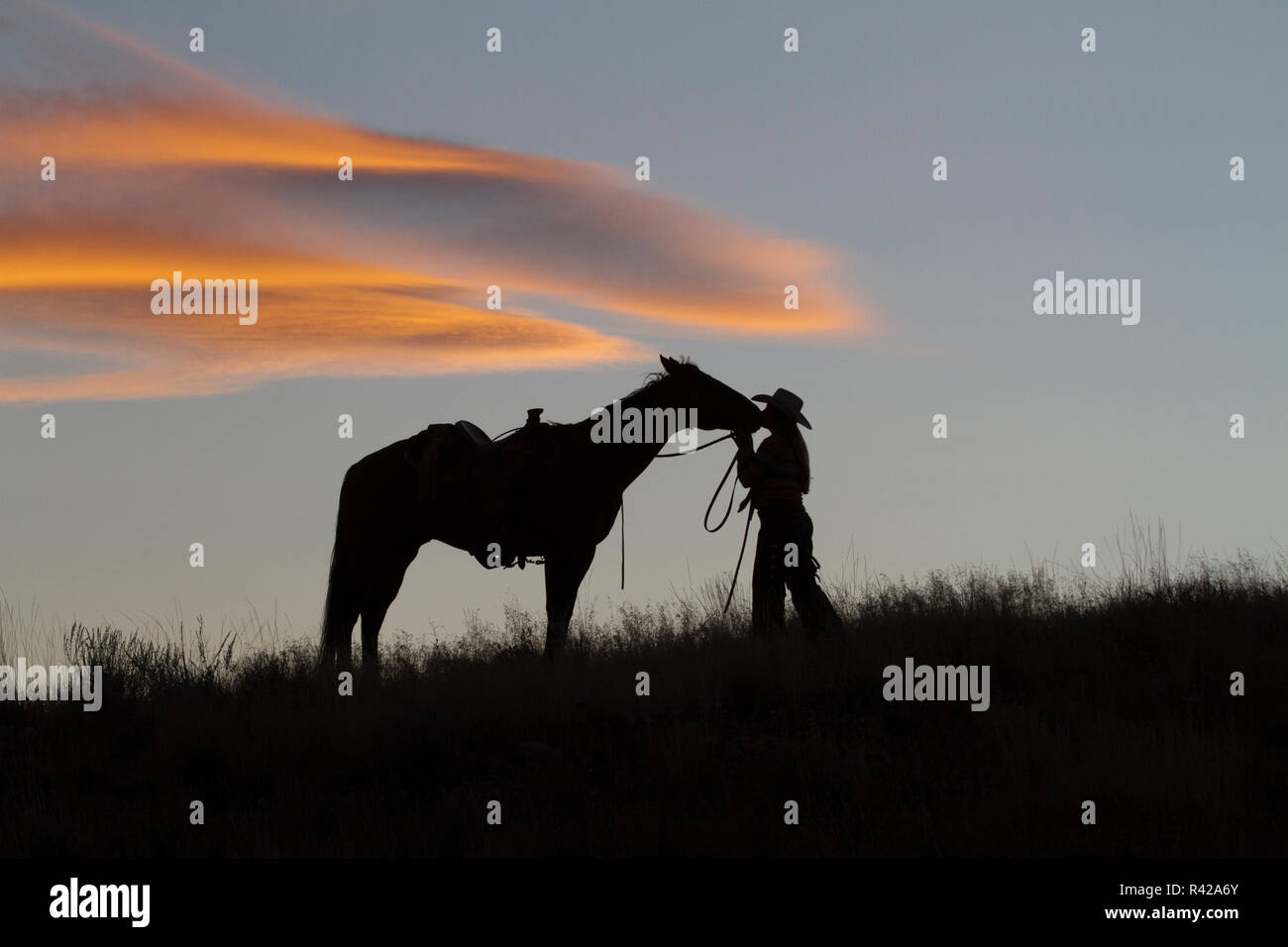 Ranch silhouette hi-res stock photography and images - Alamy