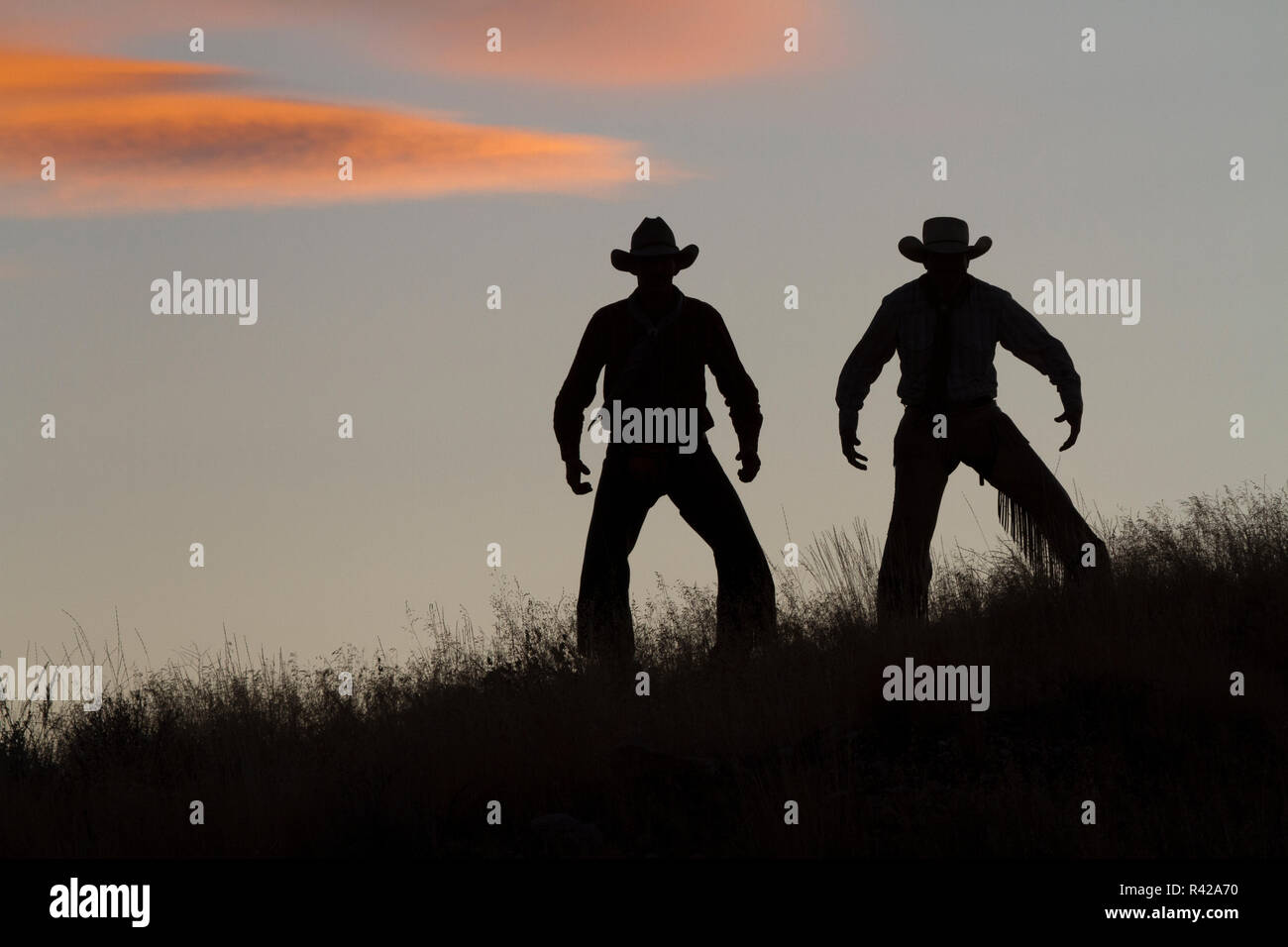 Two cowboys hi-res stock photography and images - Alamy