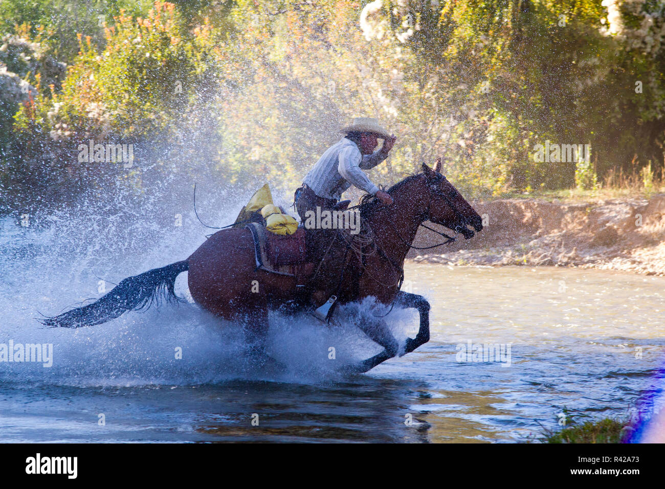 Cowboy crossing river hi-res stock photography and images - Alamy
