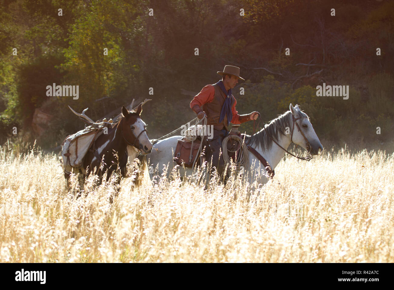 Cowboy pack hi-res stock photography and images - Alamy
