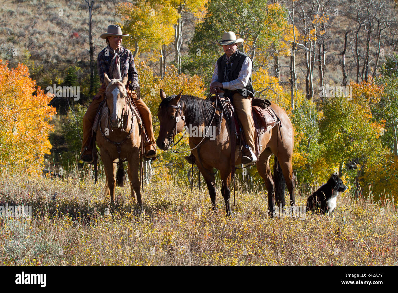 Usa, Wyoming, Shell, The Hideout Ranch, Cowgirl and Cowboy Rest among ...